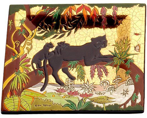 Square Coin Tidy GM (The Panthers) - Nature and Aquatic Universe/The ...